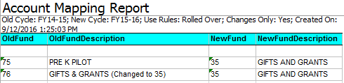 COA Account Mapping Report