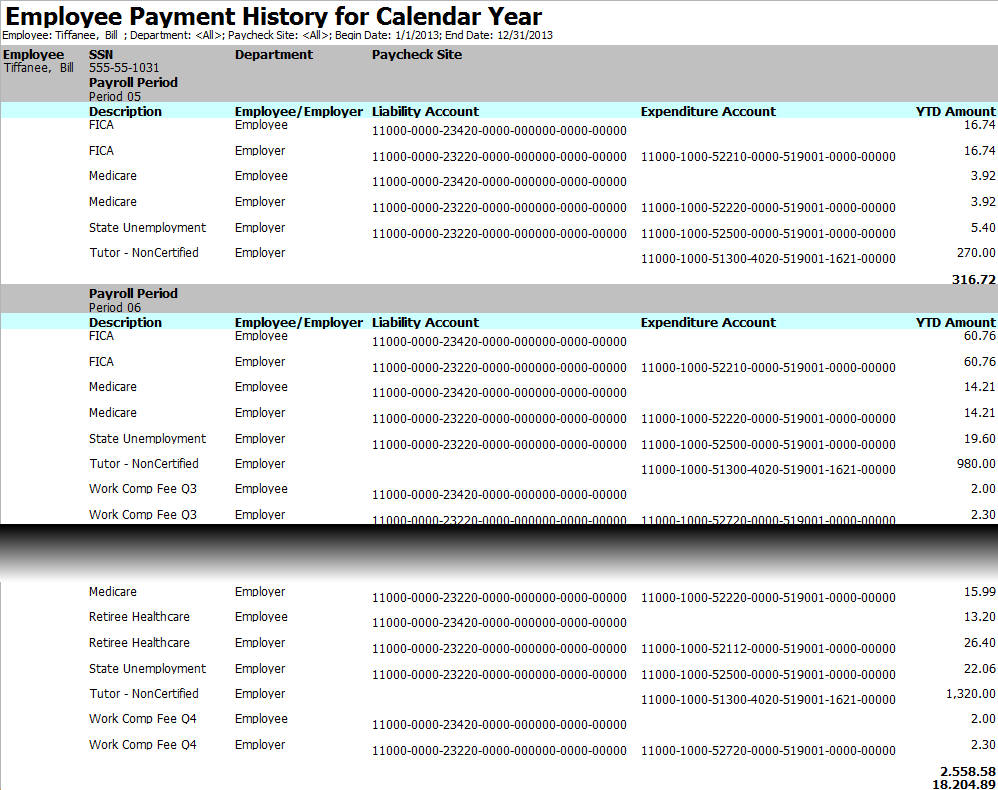 PY Employee Payment History for Calendar Year