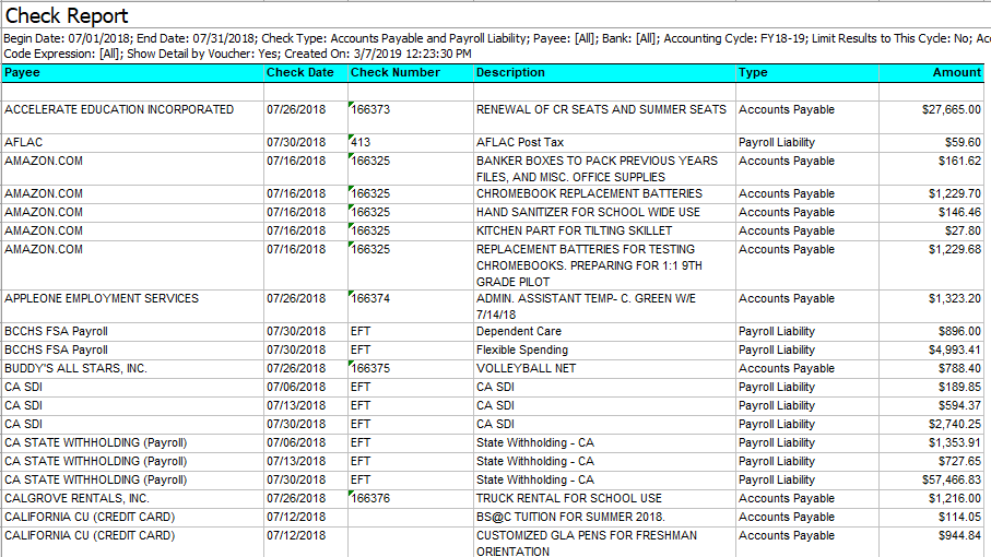 AP Check Report